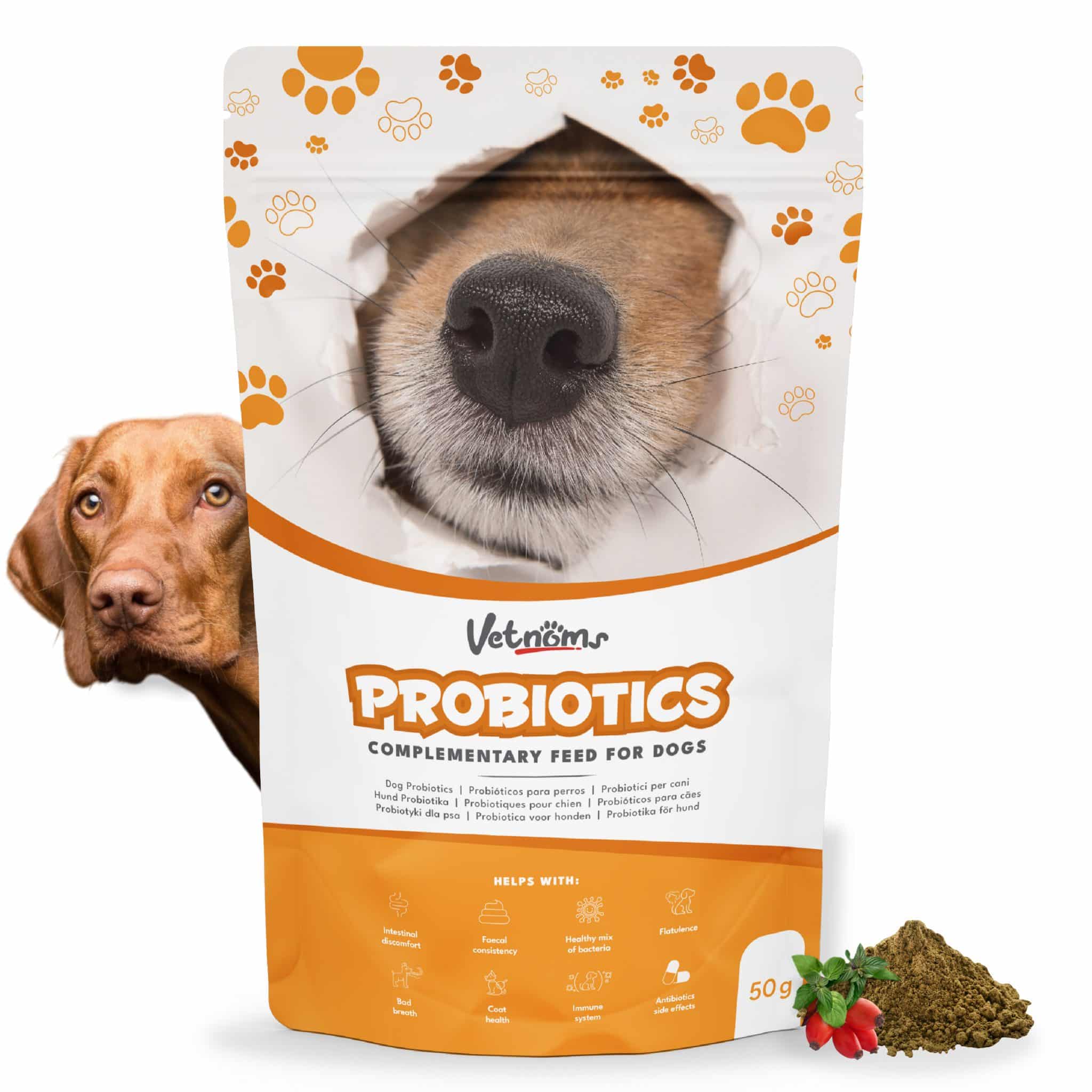 Los 7 Mejores Probioticos Para Perros, Y Porque Usarlos