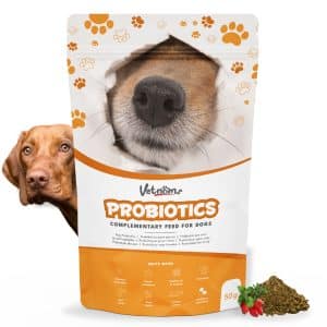 Los 7 Mejores Probioticos Para Perros, Y Porque Usarlos