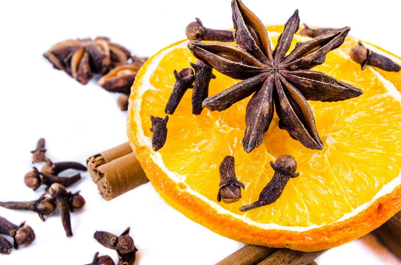 Can Dogs Eat Cloves? A Vet’s opinion - Vetnoms